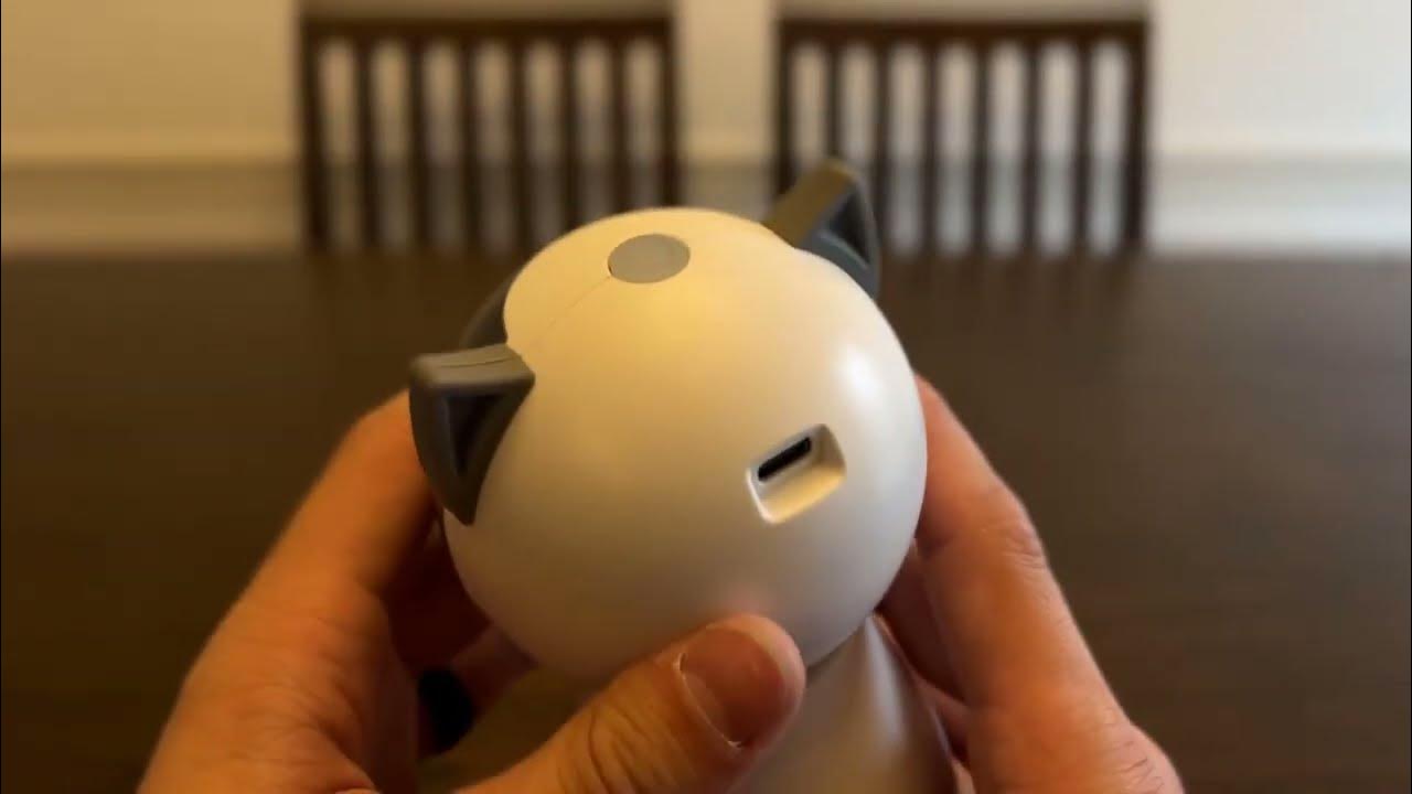 Unboxing of this Automatic Laser Cat Toy! - YouTube