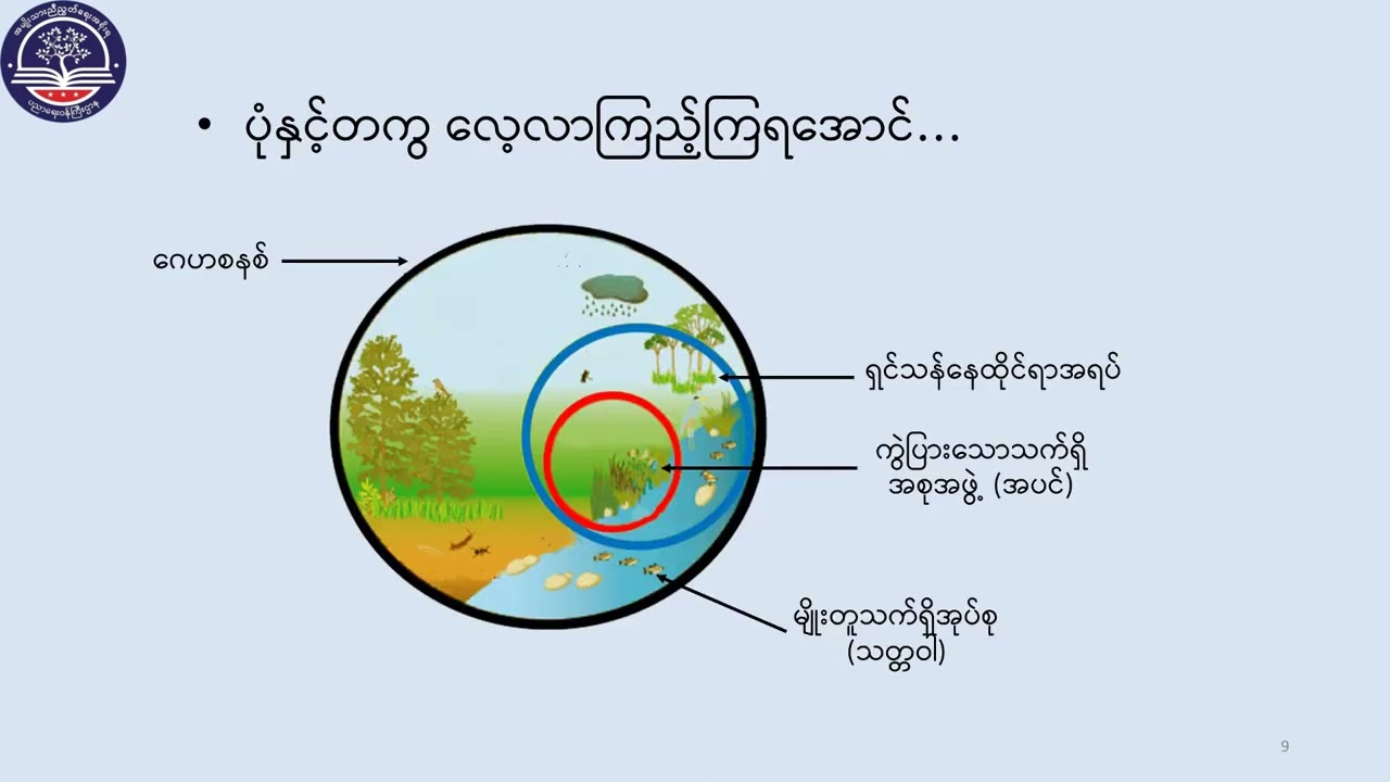 Grade 6 သိပ္ပံ၊ အခန်း ၈ ၊ ဂေဟစနစ် အပိုင်း ၁ ၊ ဂေဟစနစ် ၊ စာမျက်နှာ ၇၉