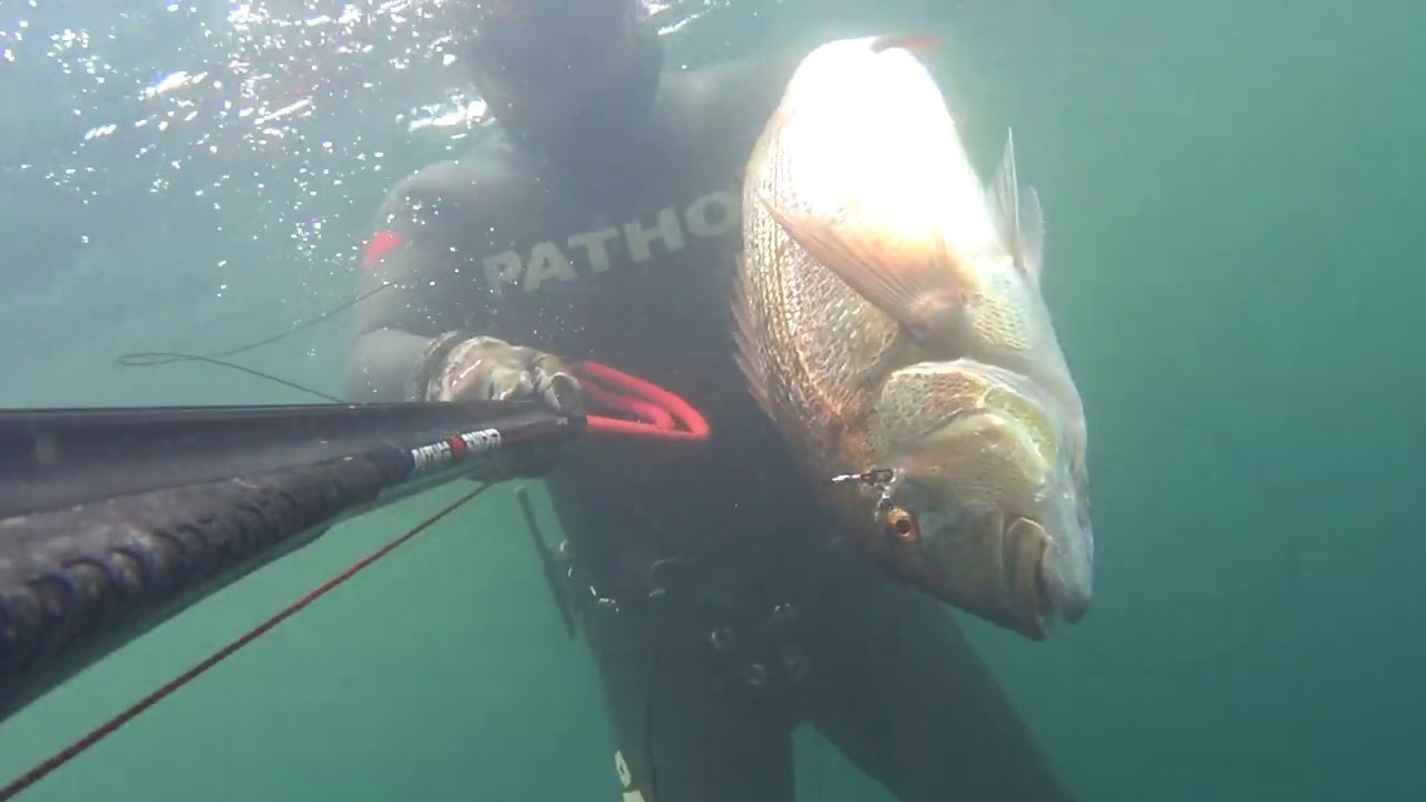 Dentex - Dentice 5,30 Kg + 3,20 Kg + 3,00 Kg - YouTube