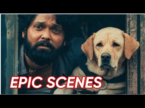 EPIC SCENES OF 777 CHARLIE 😝 - YouTube