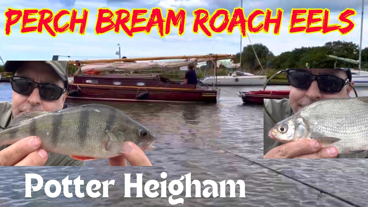Coarse Fishing Potter Heigham Norfolk broads river thurne feeder ...