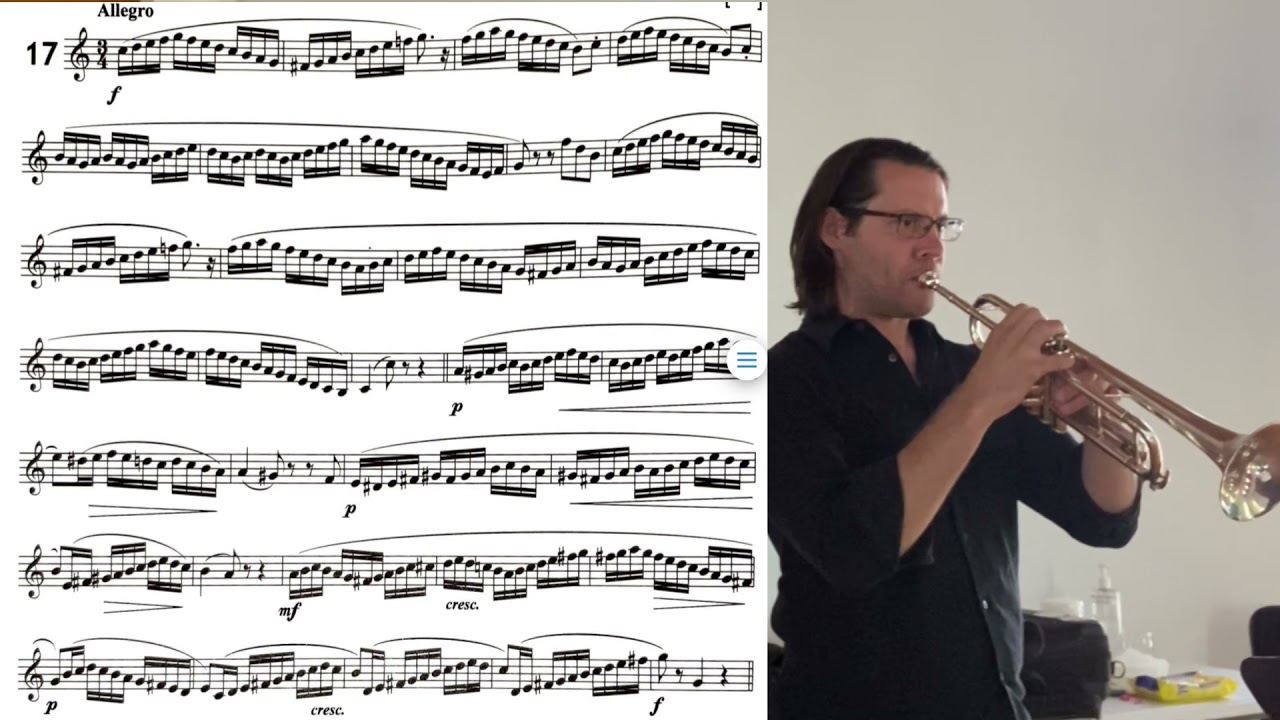 Cichowicz flow no 17, David Dash trumpet - YouTube