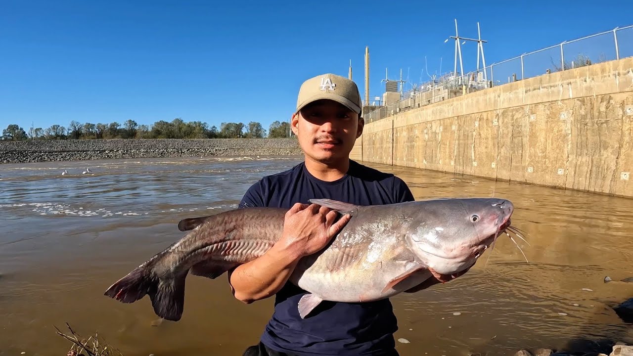 Fishing for BIG Catfish On The Arkansas River! - YouTube