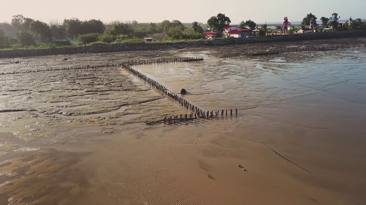 Weg naar zee kust - YouTube