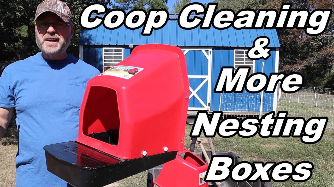Revamping Our Chicken Coop: Cleaning Up And Upgrading With More Nesting ...