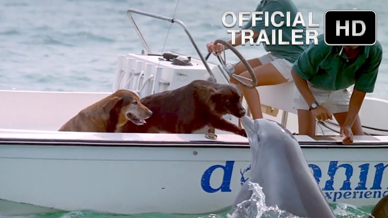 Dolphin Kissing Dog featured in DOLPHINS Official IMAX Trailer HD ...