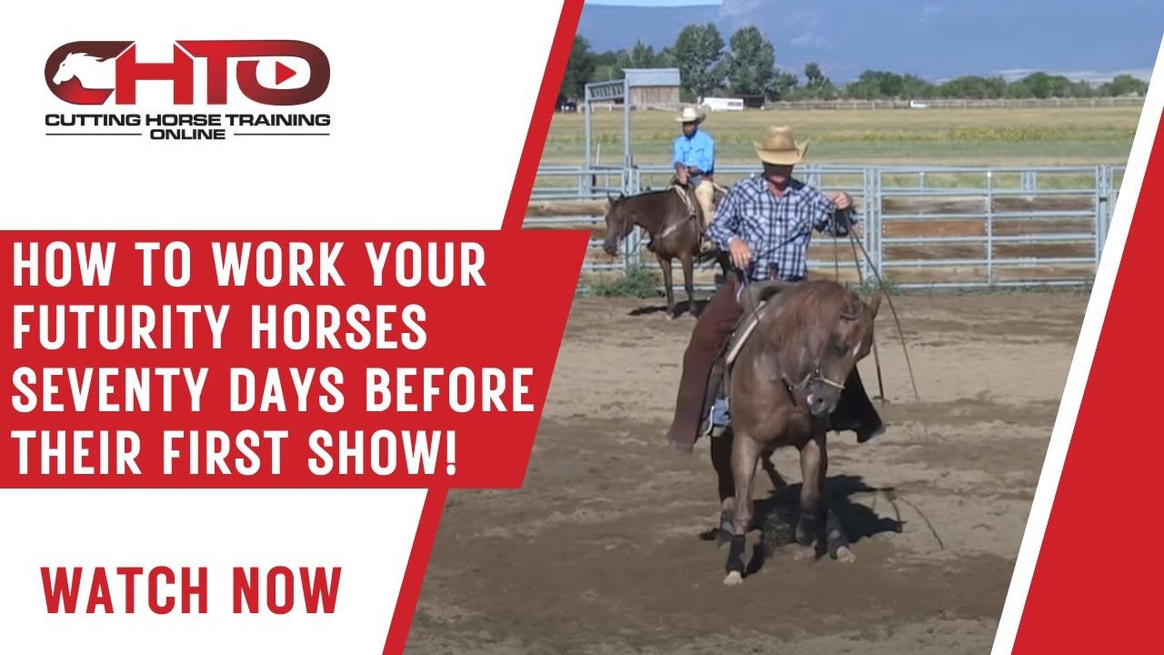 How To Work Your Futurity Horses Seventy Days Before Their First Show ...