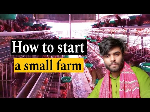How to start a small farm. A step -by-step #agro#farming#hardwork# ...