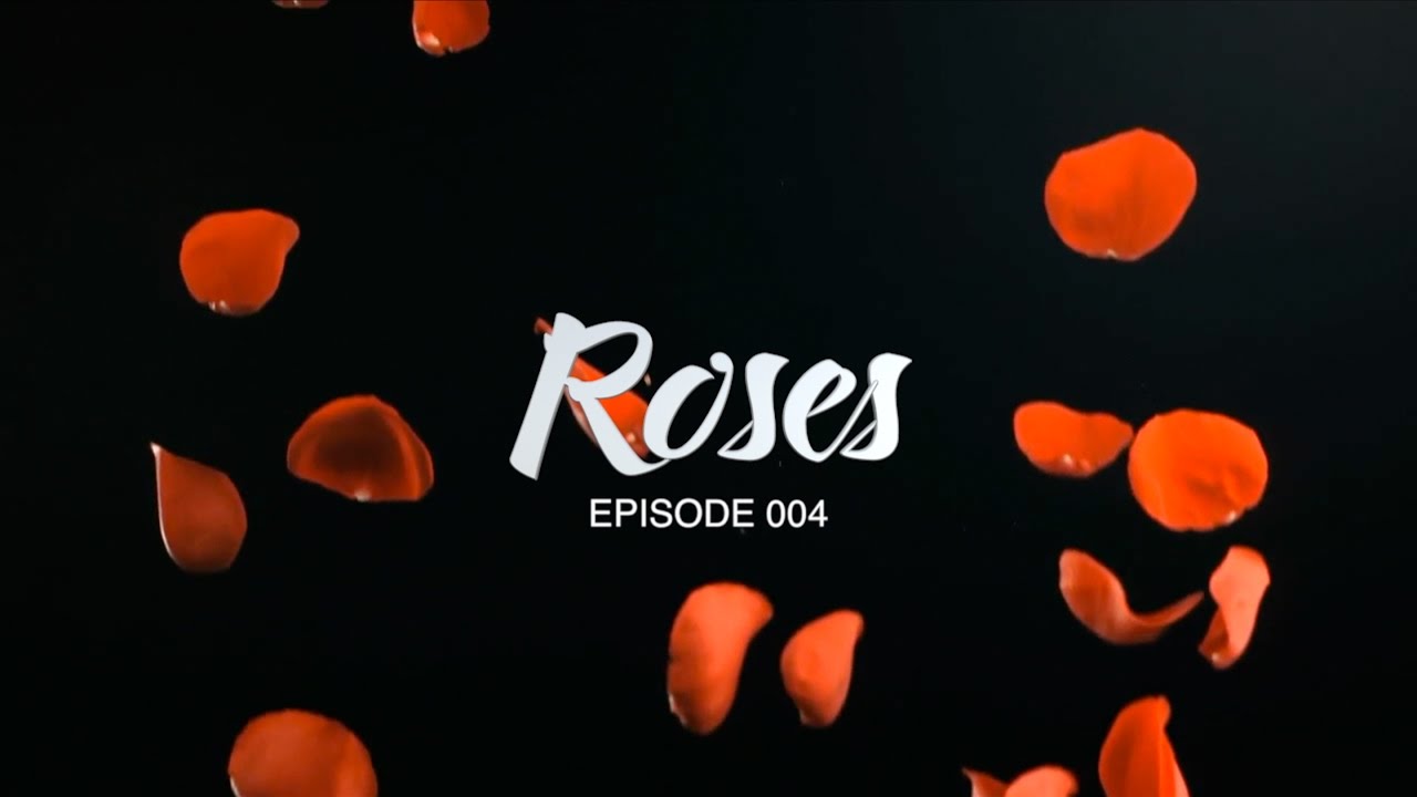 Roses (004): Anthony, Risse & The Lombardos - YouTube
