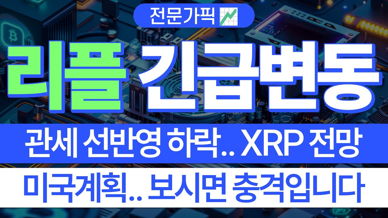 리플 전망 관세하락 선반영 완료 전략적으로 생각하고 영리하게 행동하세요리플전략 리플etf 리플소각 일론머스크
