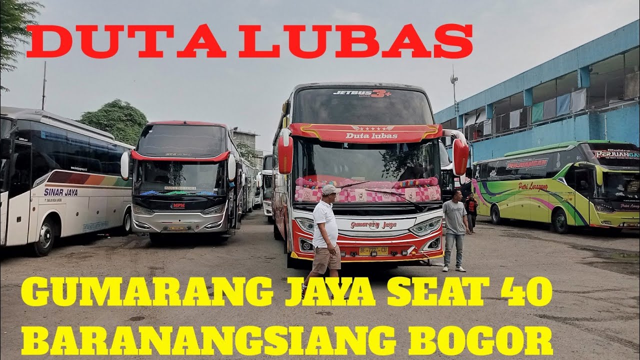 GUMARANG JAYA EXECUTIVE CLASS DUTA LUBAS SEAT 40 STAR DARi BOGOR ‼️ ...