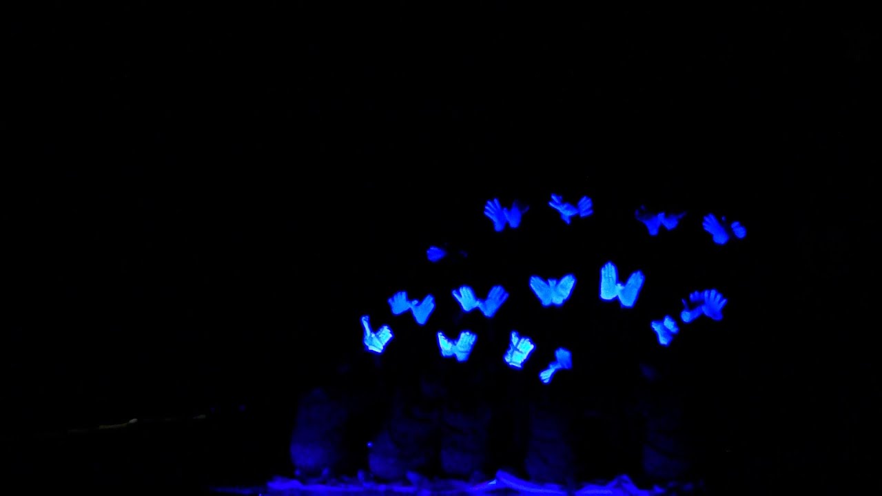This is Christmas | Hand Mime | HIPM Christmas 2023 - YouTube