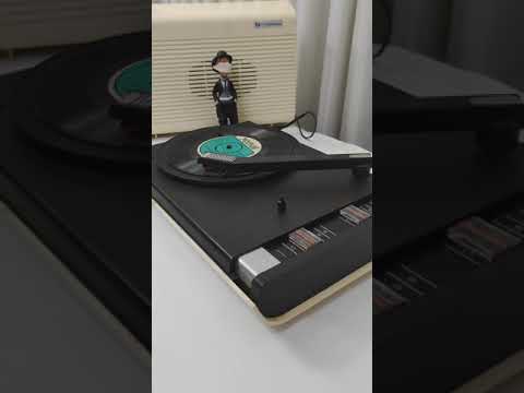 neyleyim Gönül hülya 1971 yılı 45 lik plak