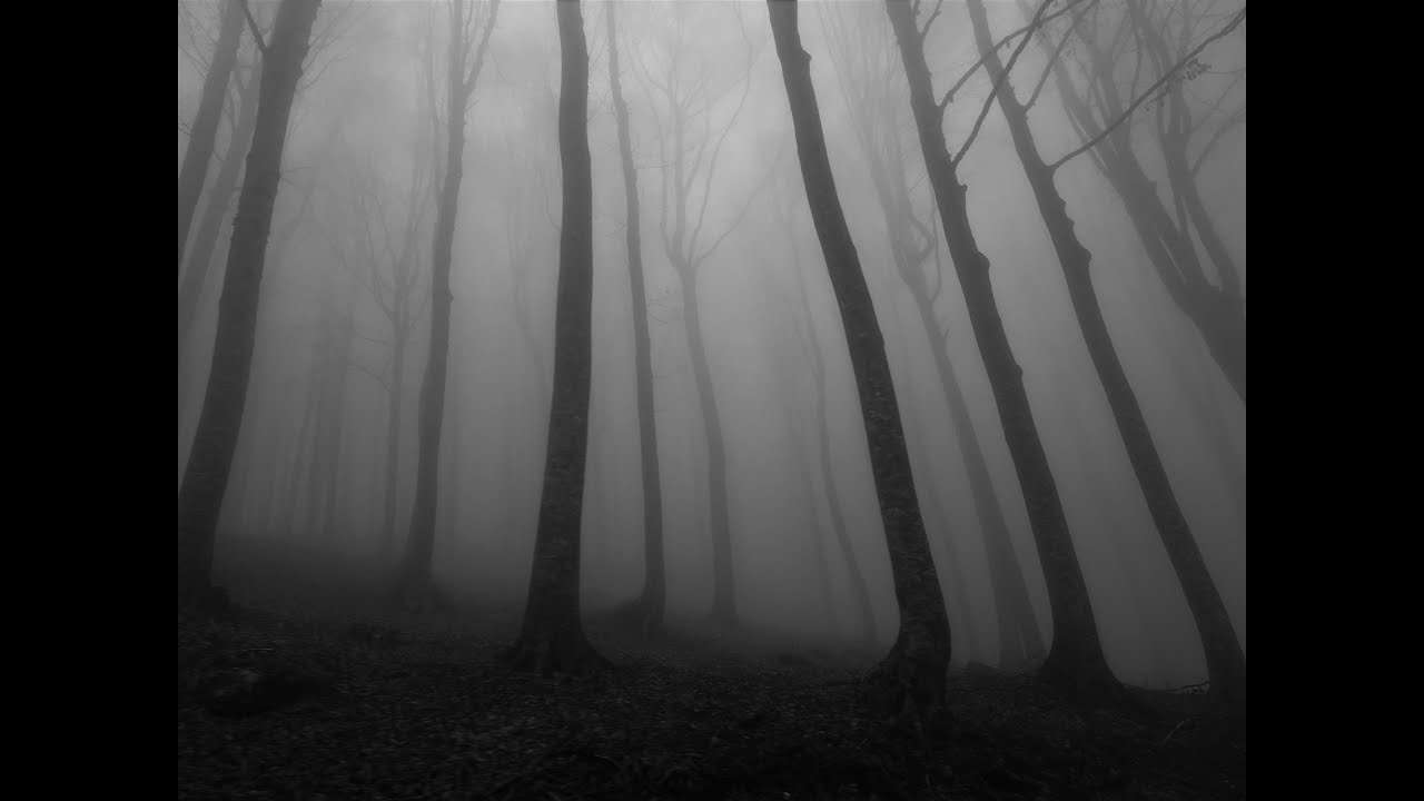 Spooky/Scary ASMR Ambient Theme#2 (공포 사운드 #2) - 1 hour | Black screen ...