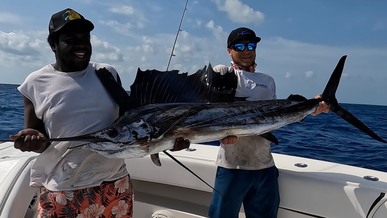 Sailfish & Giant Cobia!! (Catch Cook and Clean) - YouTube