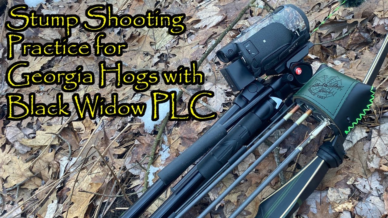 Stump Shooting Practice for Georgia Pigs with Black Widow Longbow - YouTube
