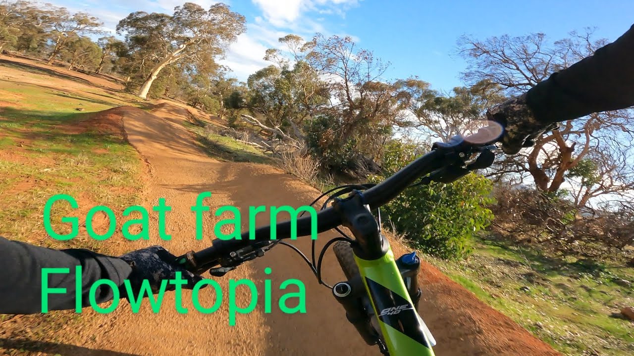 FLOWTOPIA HAS BEEN FIXED 2/6/25 - YouTube