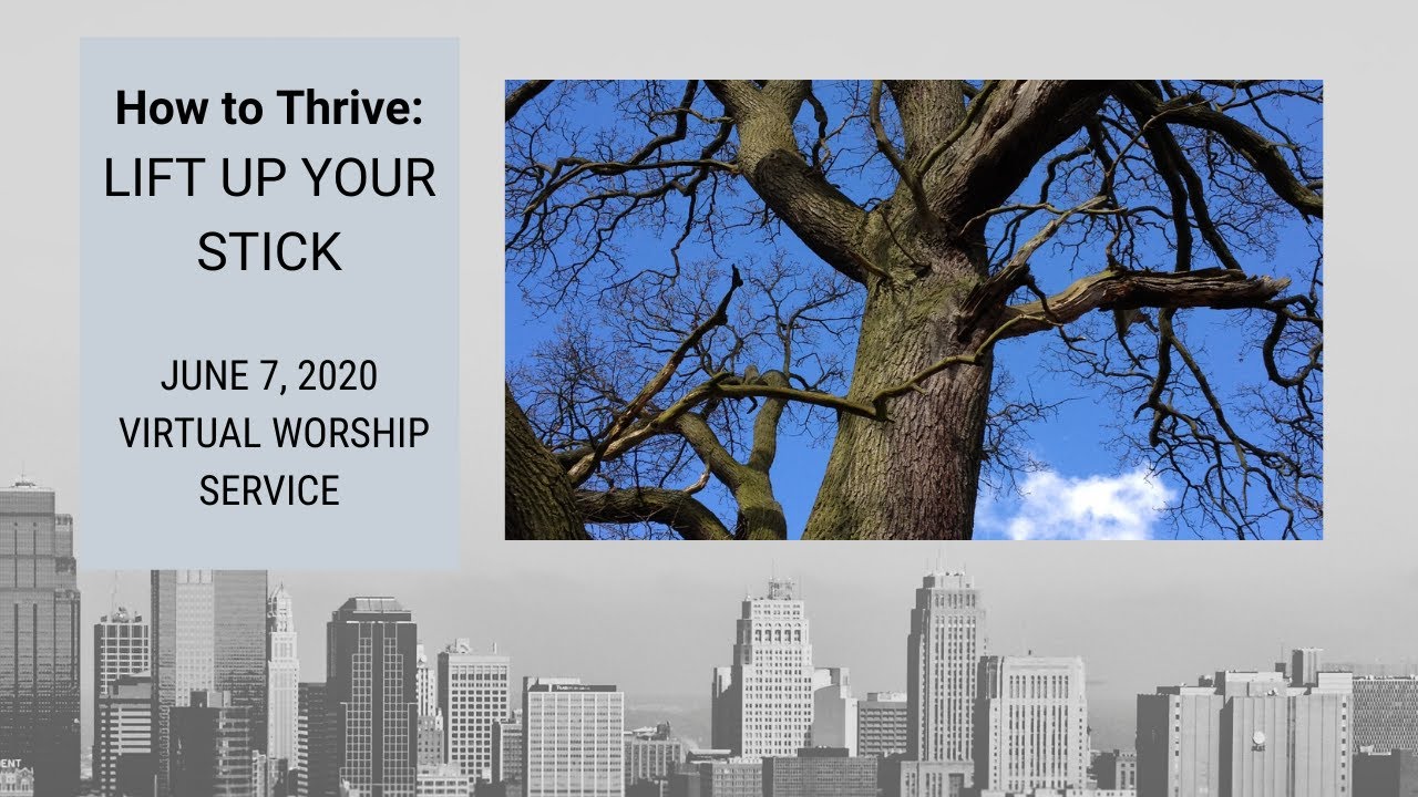 HOW TO THRIVE: Lift Up Your Stick - YouTube