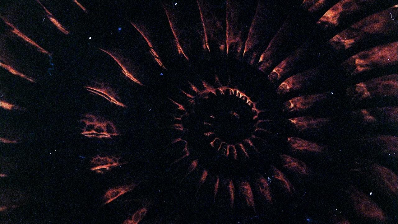 ЖЛЪЧ / ГРИГОВОР / ГЕНА - ДИМЧО ХУК - YouTube