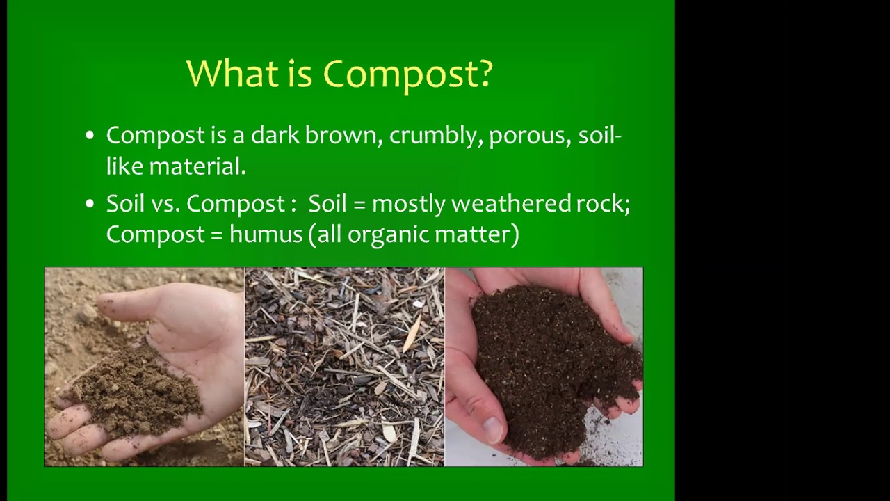 Backyard Composting Basics Webinar - YouTube