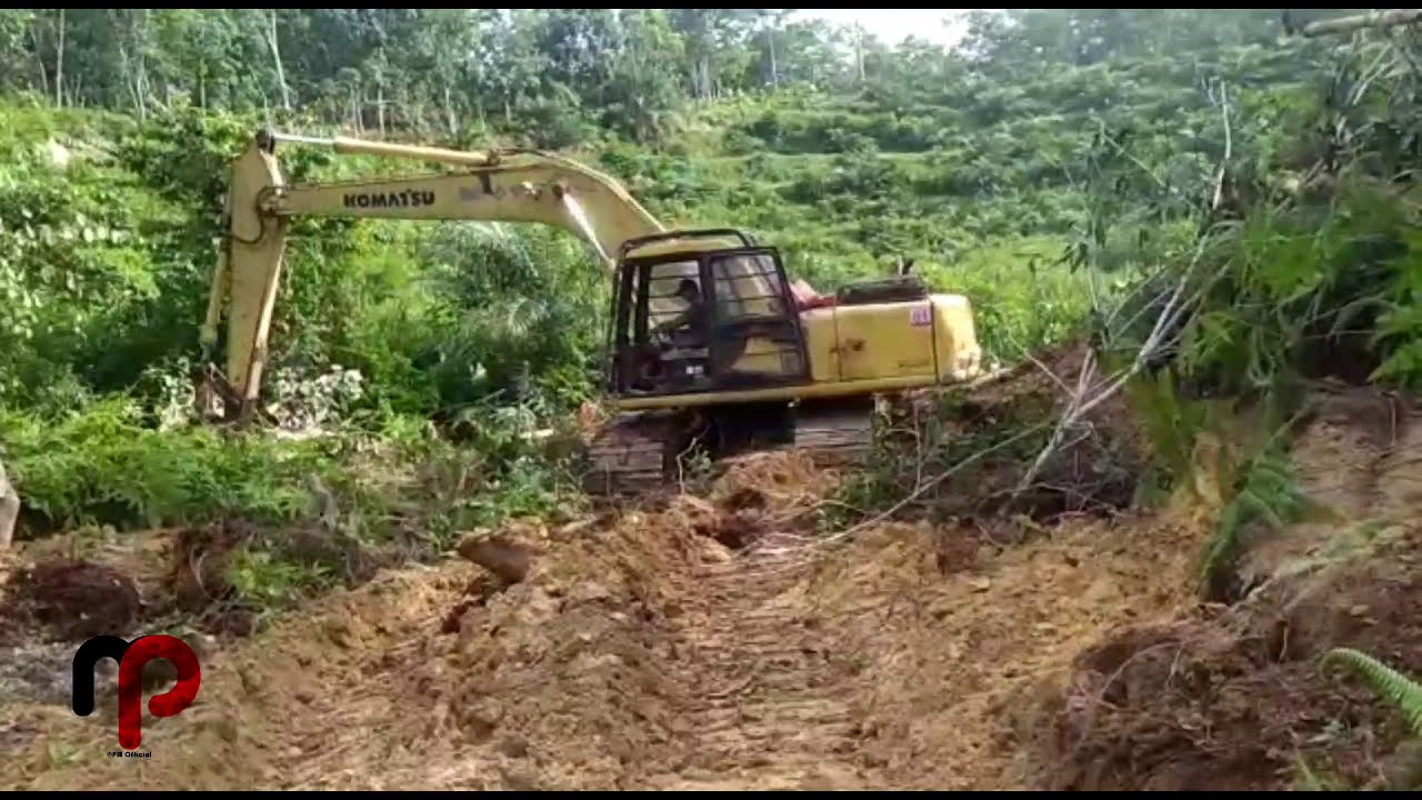 CARA PEMBUKAAN LAHAN MENGGUNAKAN EXCAVATOR - YouTube