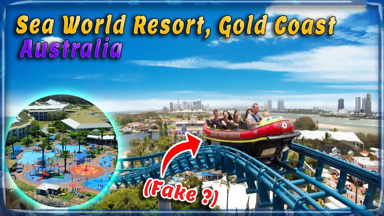 Sea World Resort Australia, Gold Coast (Full Tour + Review) - YouTube