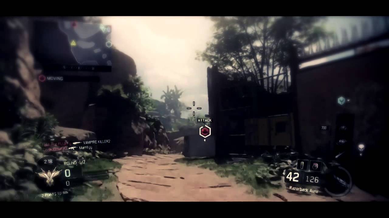 "Double Tap, X" Marr And PixL BO3 Dual Minitage - YouTube