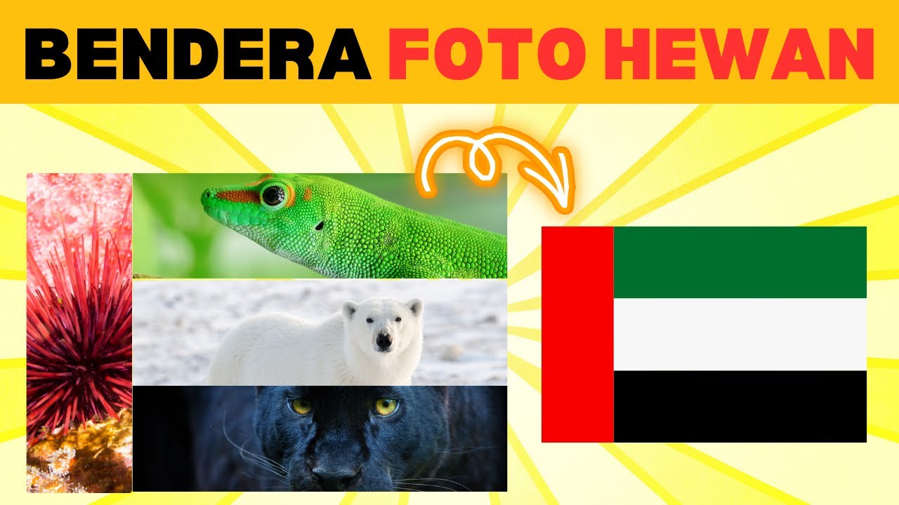 Tebak Bendera Negara di Foto Gambar HEWAN REALISTIS - YouTube