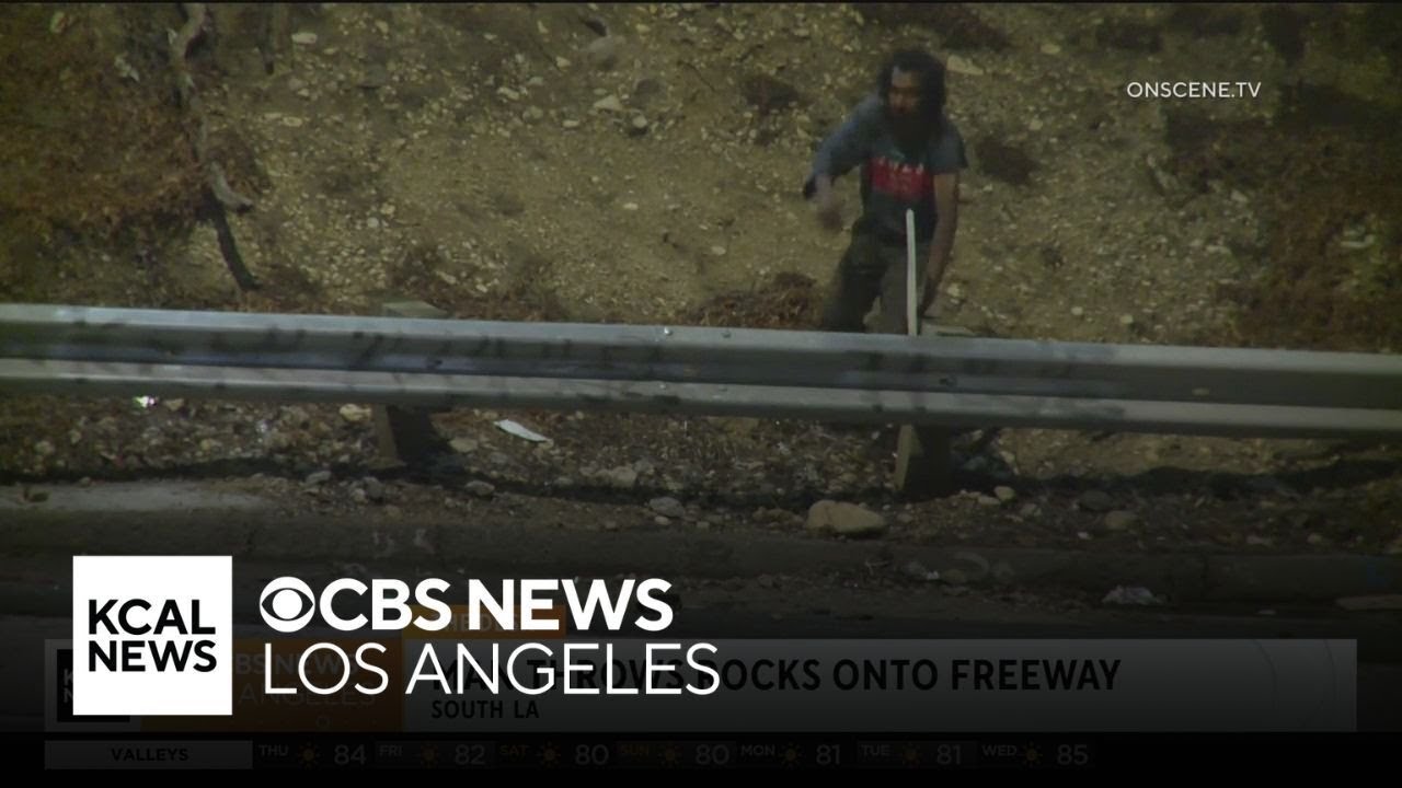 Watch: Man throws rocks onto 110 Freeway in South LA - YouTube
