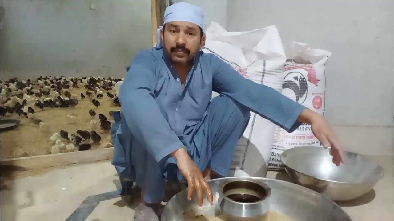 چوزوں کے لیے گڑ اور سونف کے استعمال چھوٹے چوزوں کی خوراک 9 دن کے
