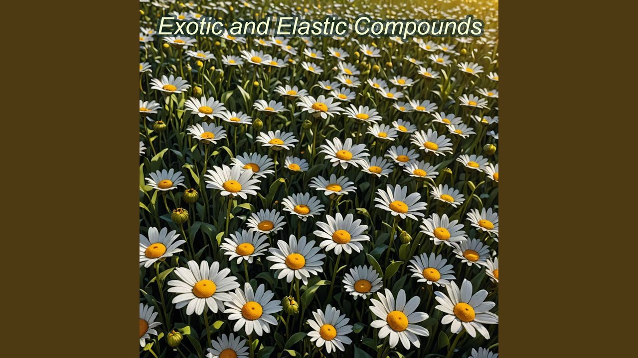 Exotic and Elastic Compounds - YouTube