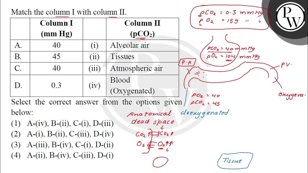 Match the column I with column II. \begin{tabular}{|l|c|c|l|} \hline & \begin{tabular}{c} Column ...