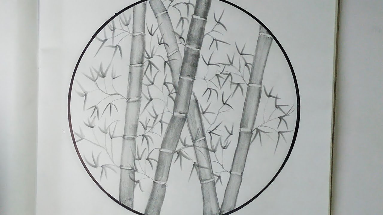 How to draw bamboo drawing ///easy circle drawing //pencil bamboo ...