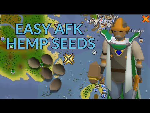 Easy AFK HEMP Seeds from Sailing in OSRS