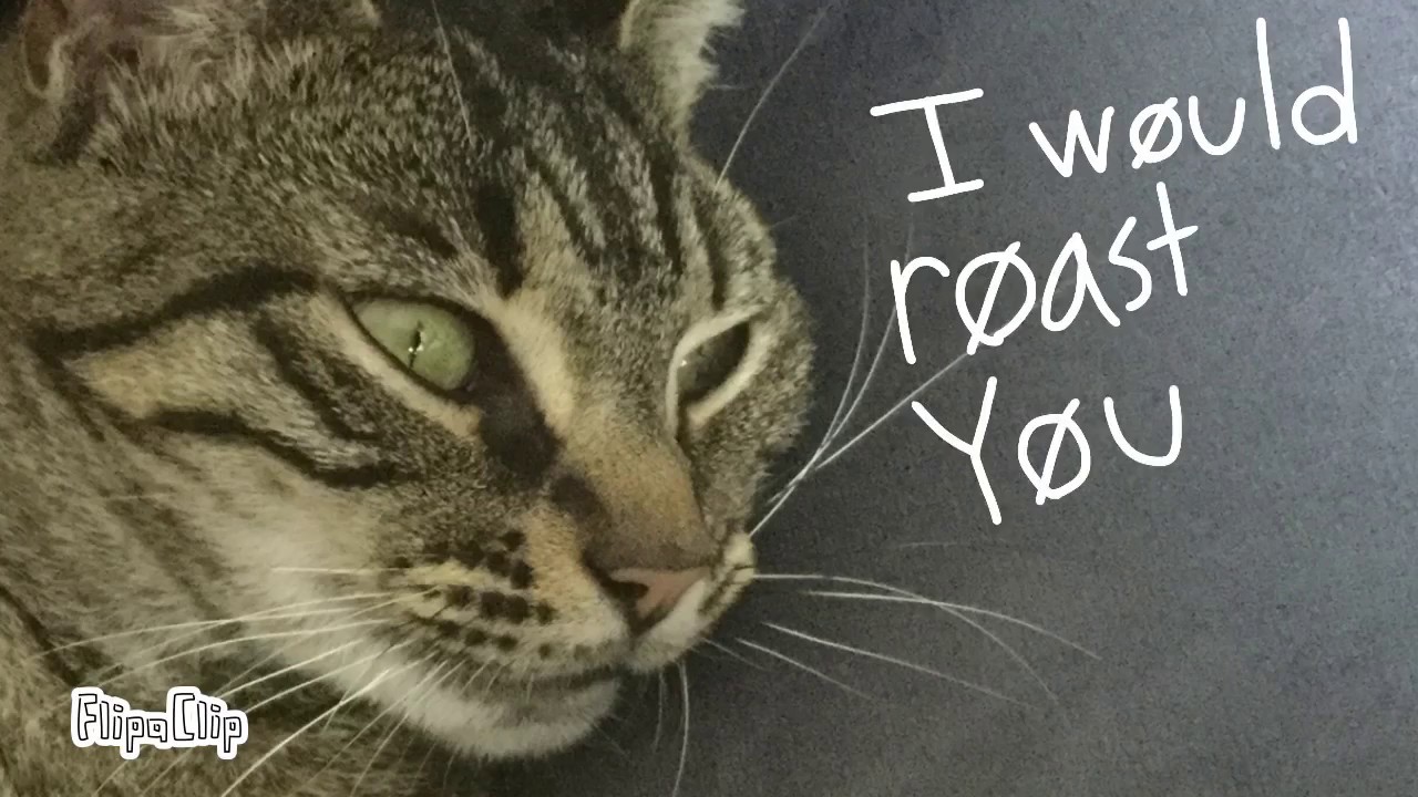 I would roast you but my mom said I’m not allowed to burn trash ...