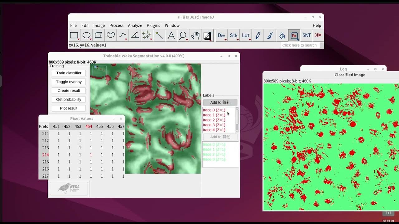 用fiji/image的Trainable Weka Segmentation分類氣孔 - YouTube