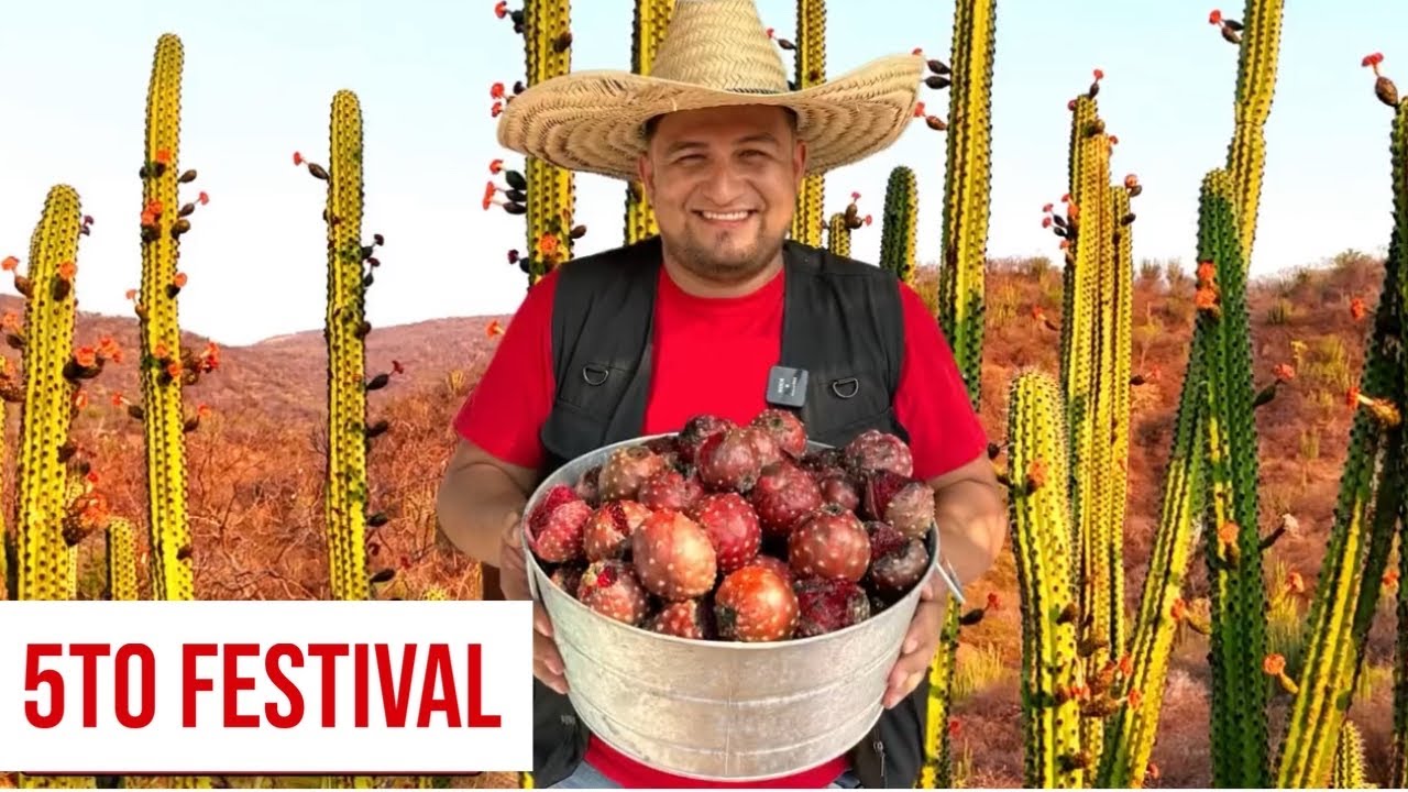5to festival del PITIRE Y LA PACHONA en LAS CAÑAS!! - YouTube