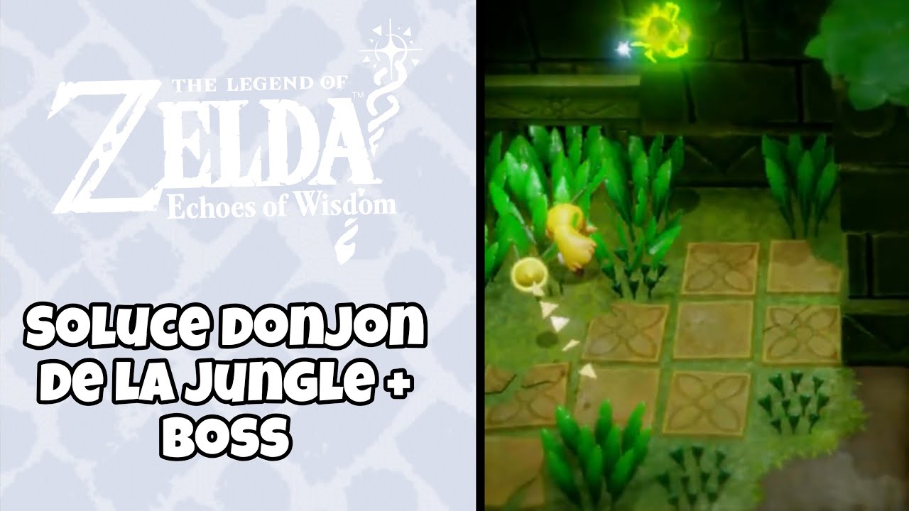SOLUCE du DONJON de la JUNGLE + BOSS ! - ZELDA : ECHOES OF WISDOM - YouTube