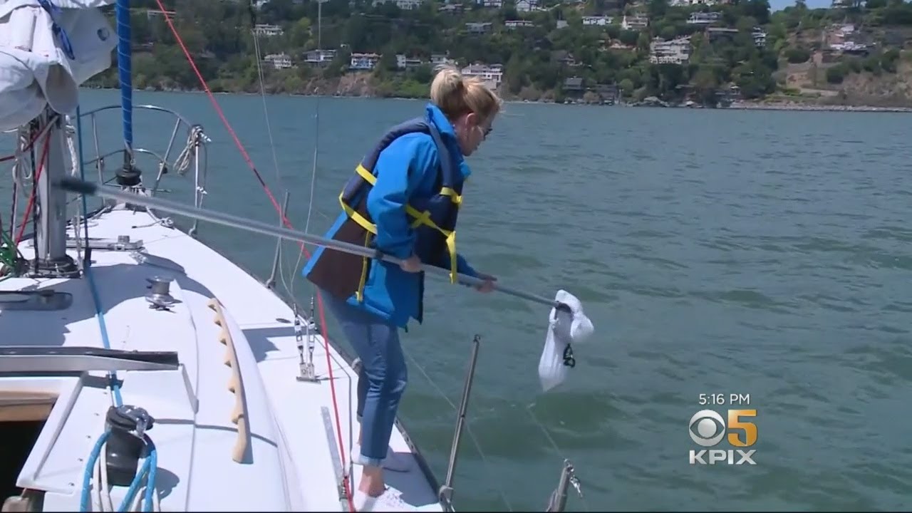 Sailing Organization Launches Plastic Pollution Cleanup Drive in SF Bay ...