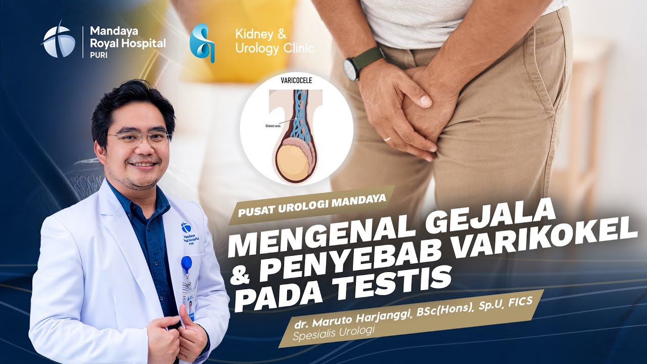 Ciri-Ciri & Penyebab Varikokel Pada Testis Pria | dr. Maruto Harjanggi ...