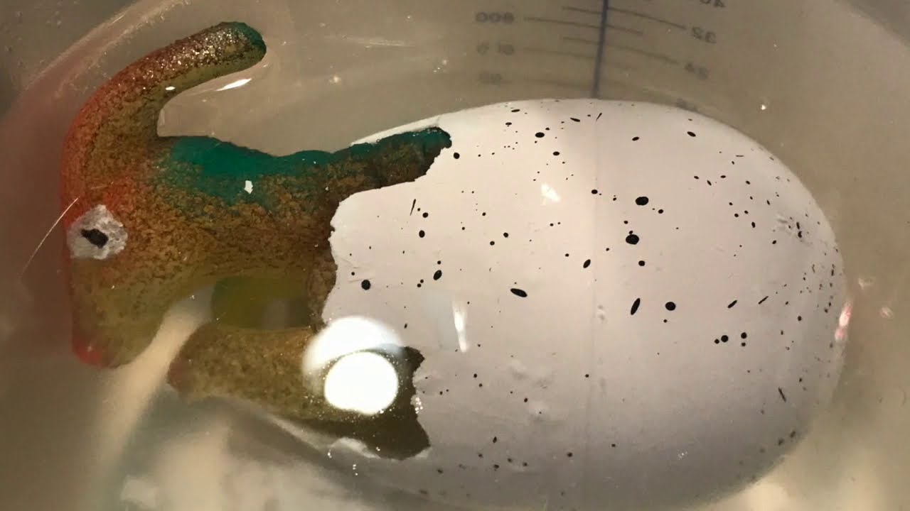 How to hatch your own dinosaur - YouTube