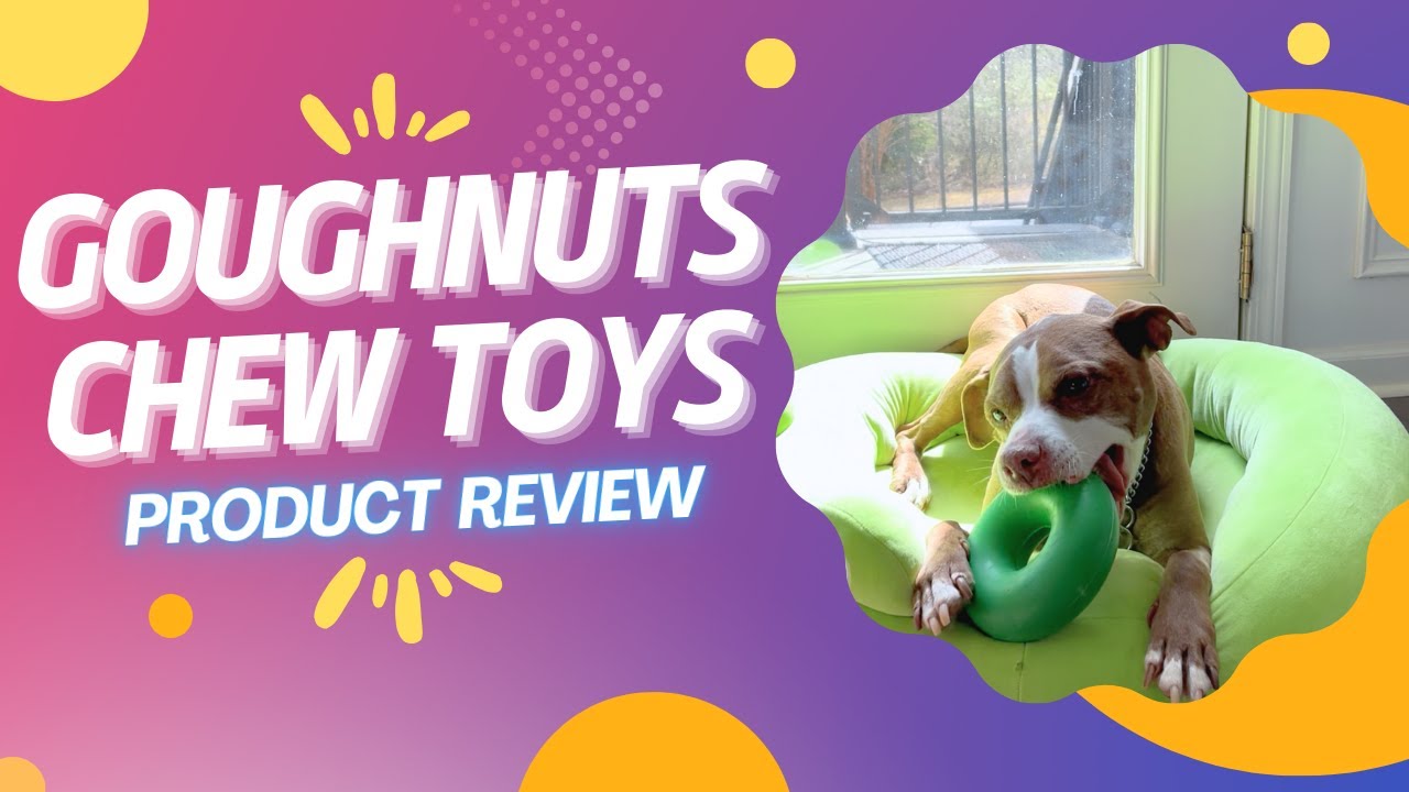 Best Long Lasting Dog Toy For Super Chewers (Vet Recommended ...