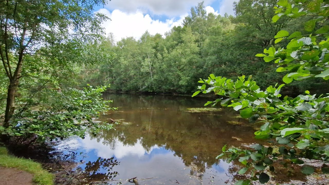 Ruta. Bosque mágico de Merlín. Broceliande. Bretaña. Francia. - YouTube