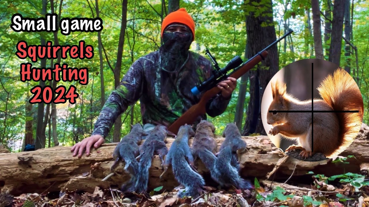 Small game Squirrels Hunting 2024 - YouTube