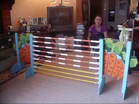 Rabbit Hopping High Jump - YouTube