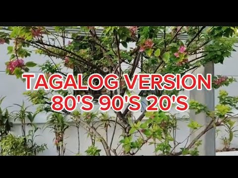 LOST IN LOVE TAGALOG VERSION #CTTO - YouTube