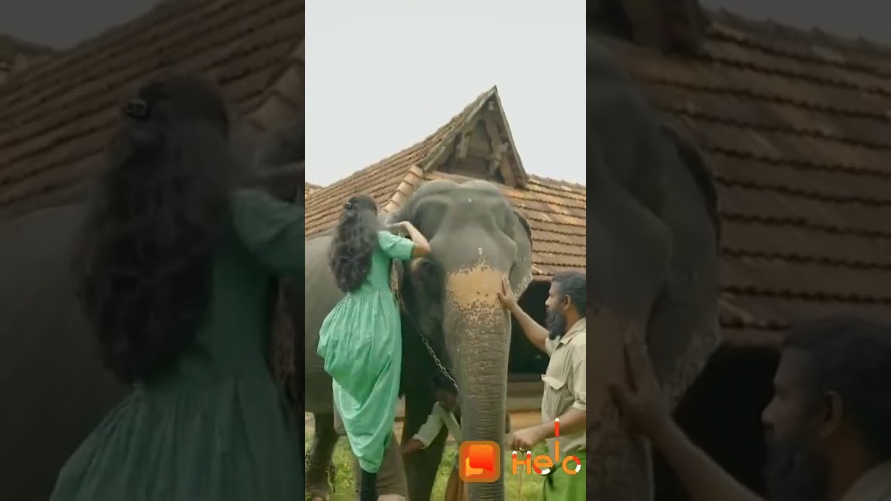 #Video hathi Mera Sathi@video full HD# - YouTube