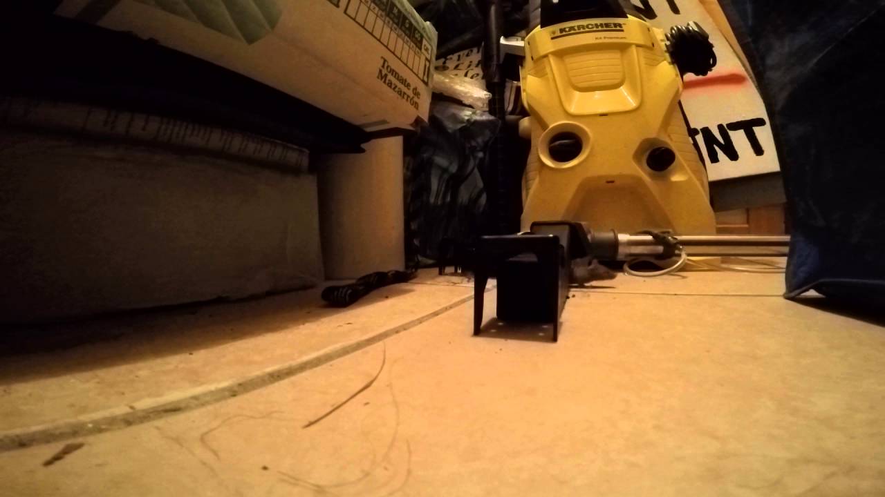 Catching a field mouse with a live capture box - YouTube