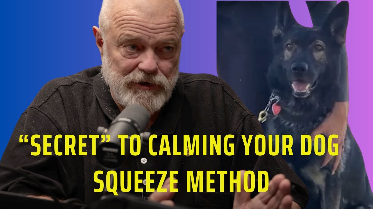 The Secret to Calming Your Dog Instantly: The Squeeze Method Explained ...