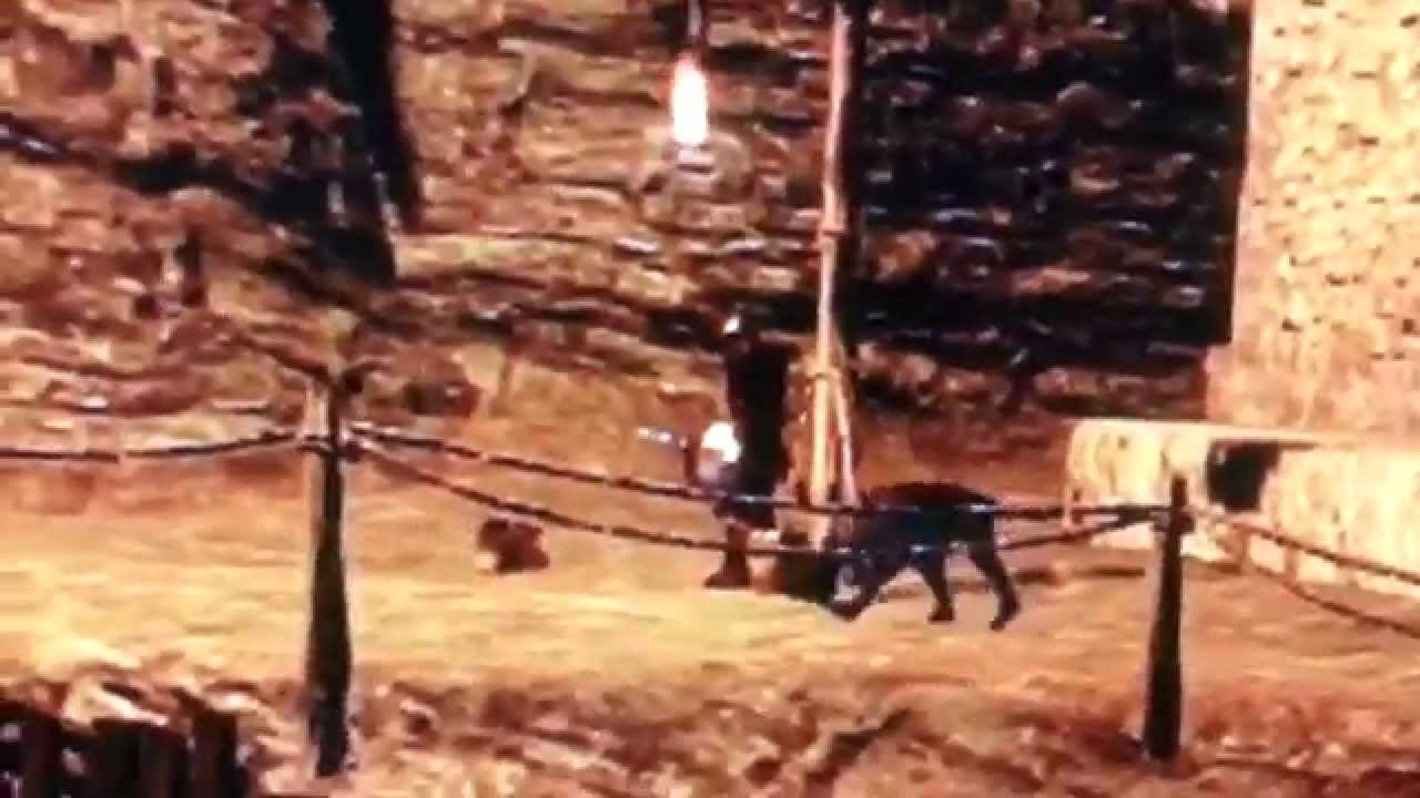 Quality Animation - YouTube